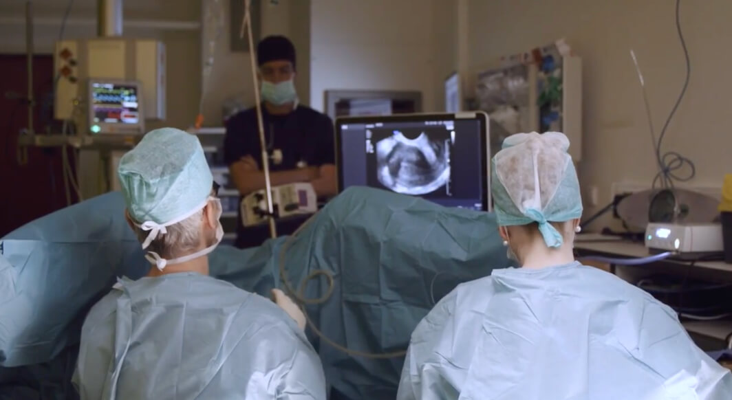 Publications | Gameto