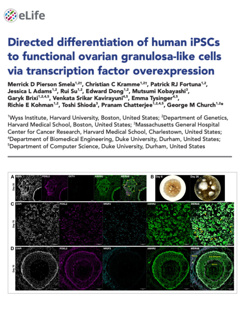 Directed differentiation of human iPSCs to functional ovarian granulosa-like cells via ...