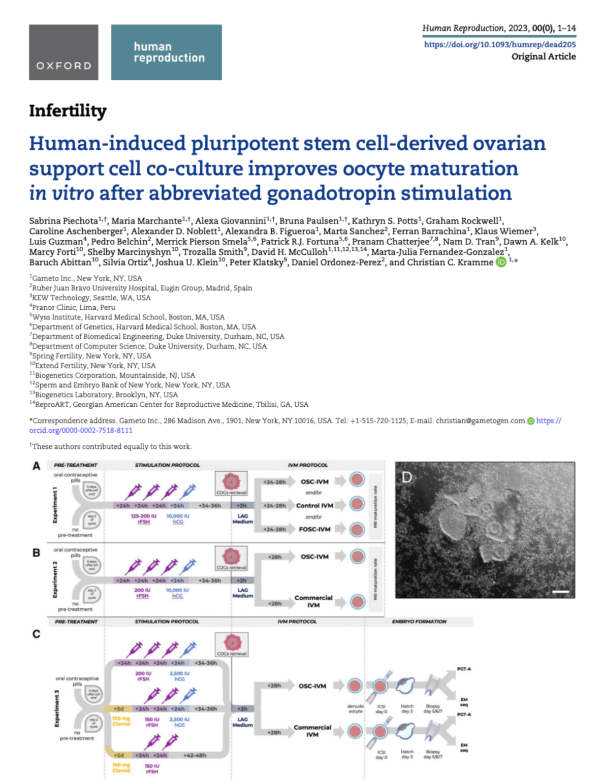Human-induced pluripotent stem cell-derived ovarian support cell co ...