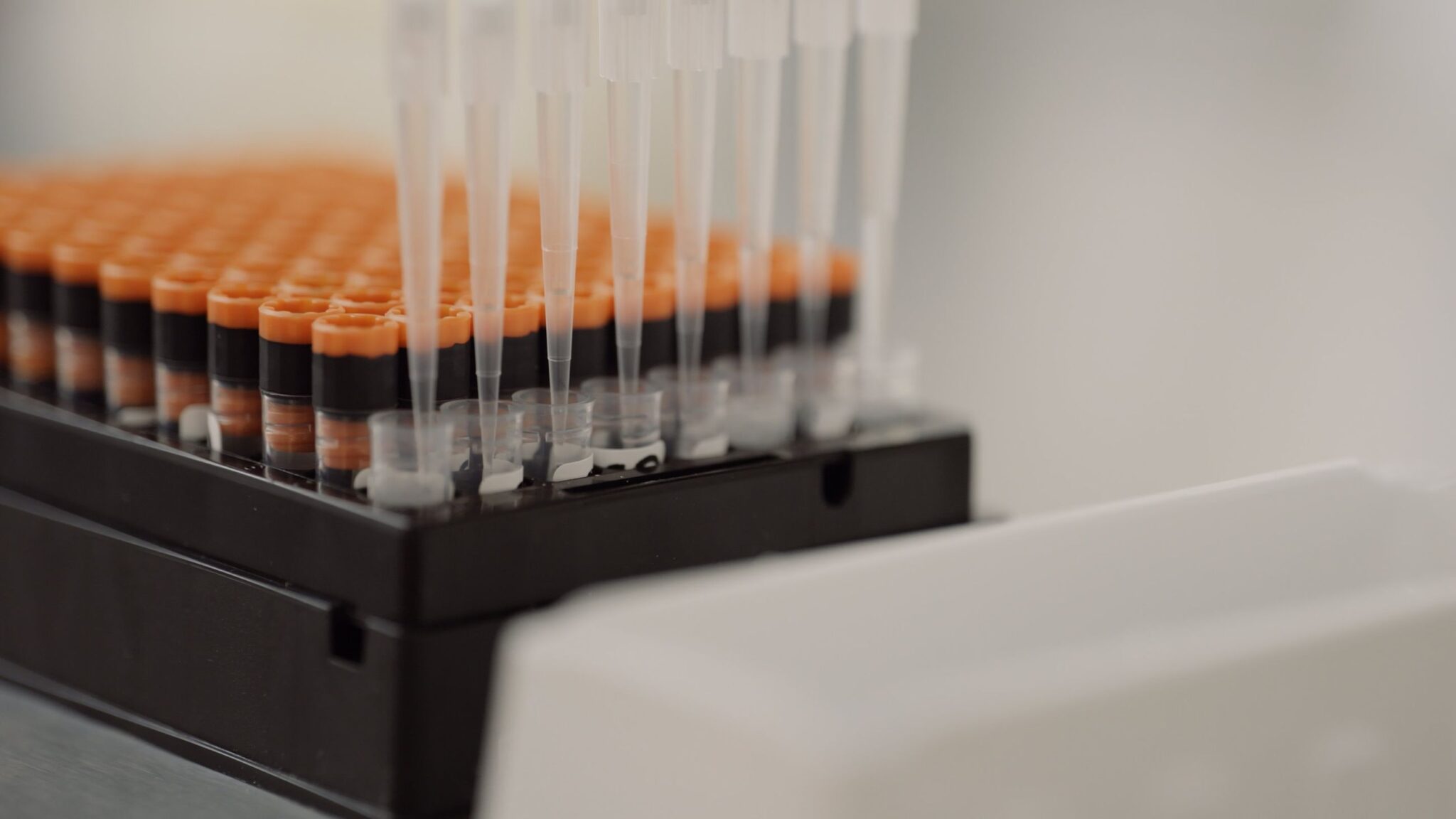 Gameto | Redefining women's health