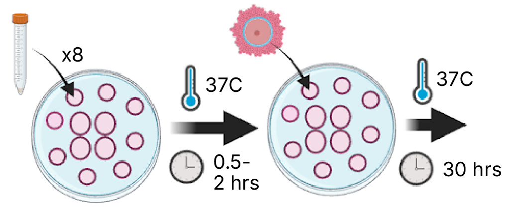 For Clinics | Gameto
