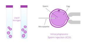 For Women and Families | Gameto