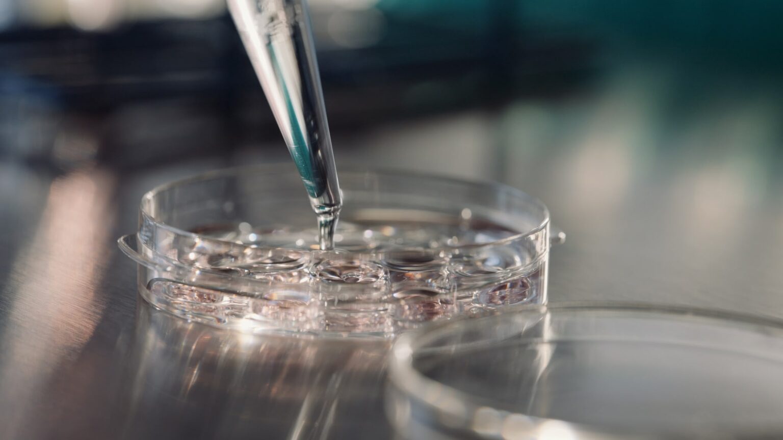 Gameto | Redefining women's health